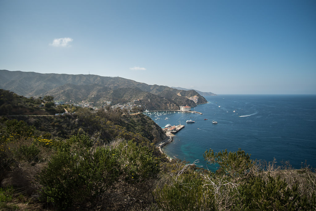 Getaway to Catalina Island: Avalon & Beyond | Trailing Away